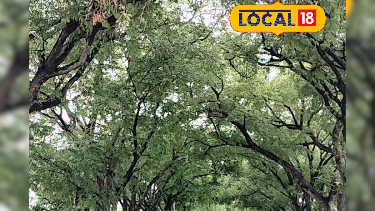 You can learn about the scenic Vadamalai Kurichi Road of Virudhunagar ...