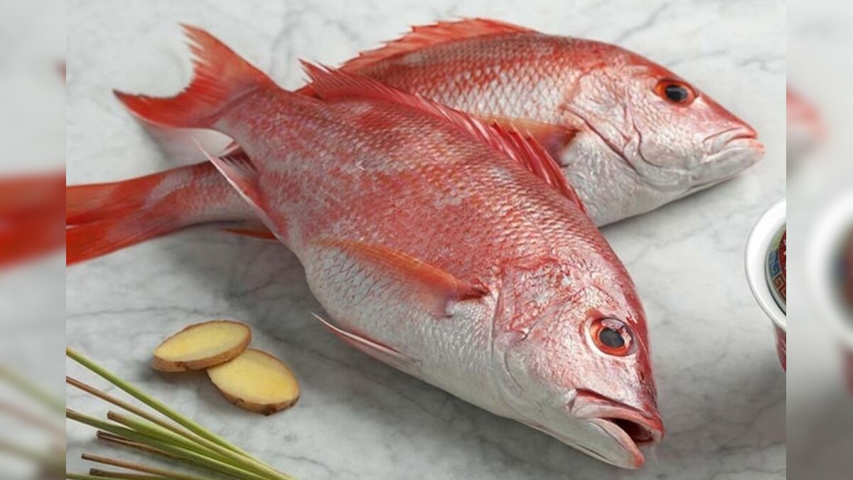 List of Omega 3 Fish Names (in Tamil) | உடல்நலம் - News18 தமிழ்