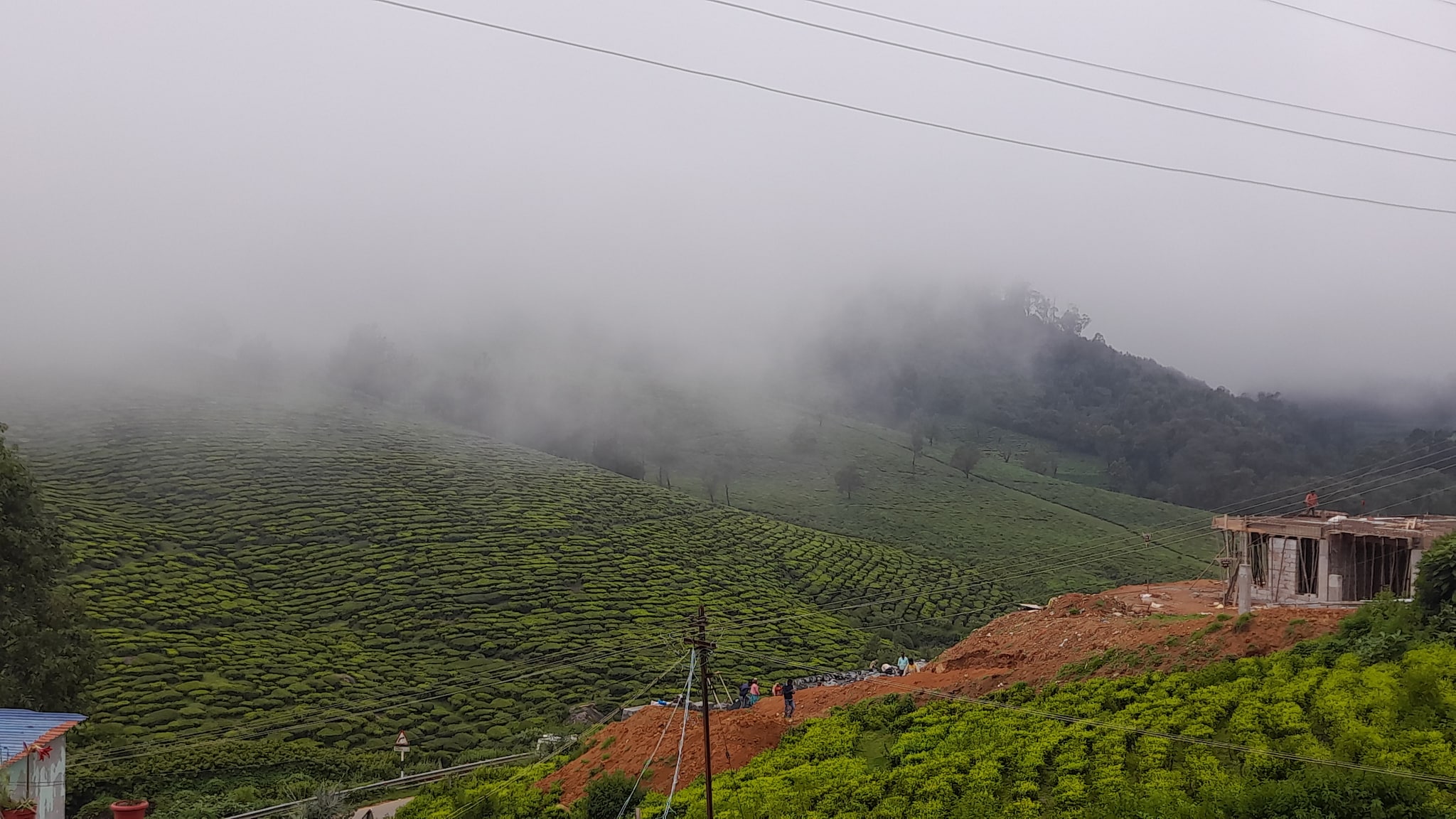 Nilgiri Weather Update : ஊட்டியில் இப்போ கிளைமேட் எப்படி இருக்கு ...