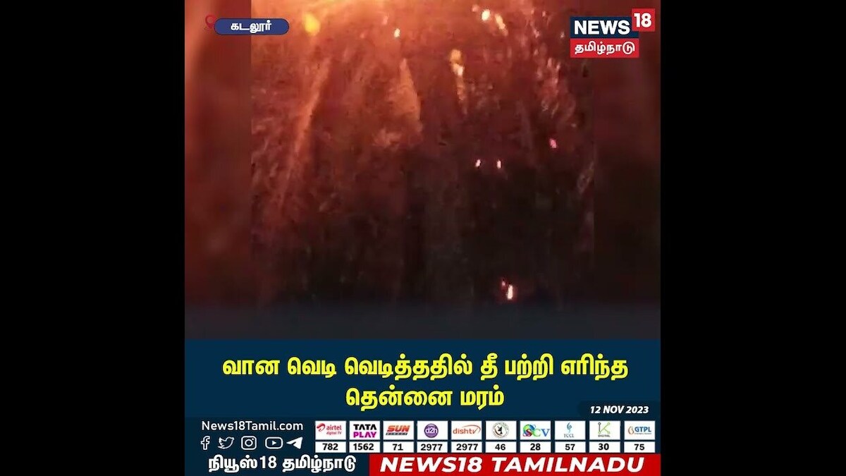வான வெடி வெடித்ததில் தீ பற்றி எரிந்த தென்னை மரம் | Coconut Tree | Fire ...
