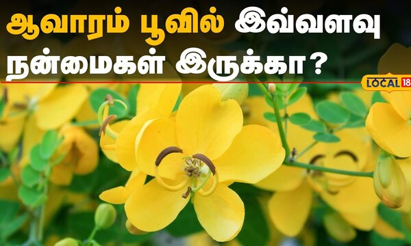 Nilagiri | ஆவாரம் பூவில் இவ்வளவு நன்மைகள் இருக்கா? | #Local18