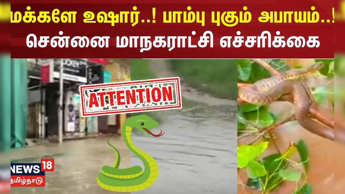 மக்களே உஷார்..! பாம்பு புகும் அபாயம்..! - சென்னை மாநகராட்சி எச்சரிக்கை ...