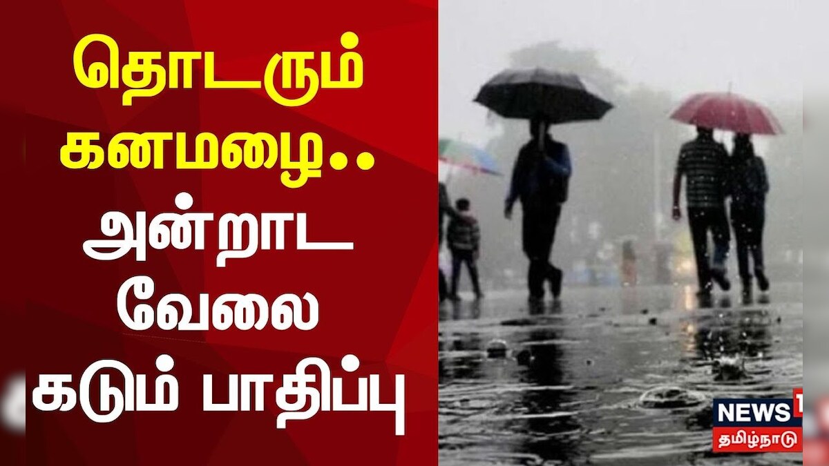தொடரும் கனமழை.. அன்றாட வேலை பாதிப்பு | TN Rain | Sirkali | Weather ...