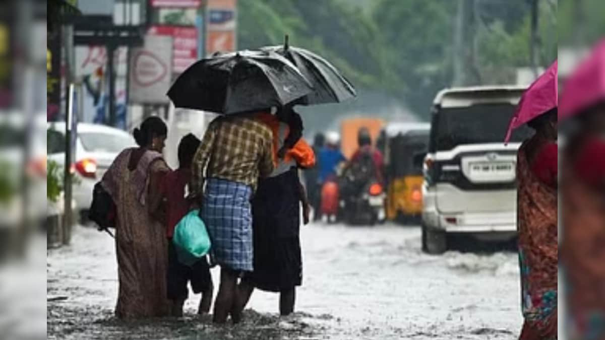 யாருக்கெல்லாம் ரூ.6000 ரொக்கம் உதவித் தொகை ... முழு விவரம் இதோ! | தமிழ்நாடு - News18 தமிழ்