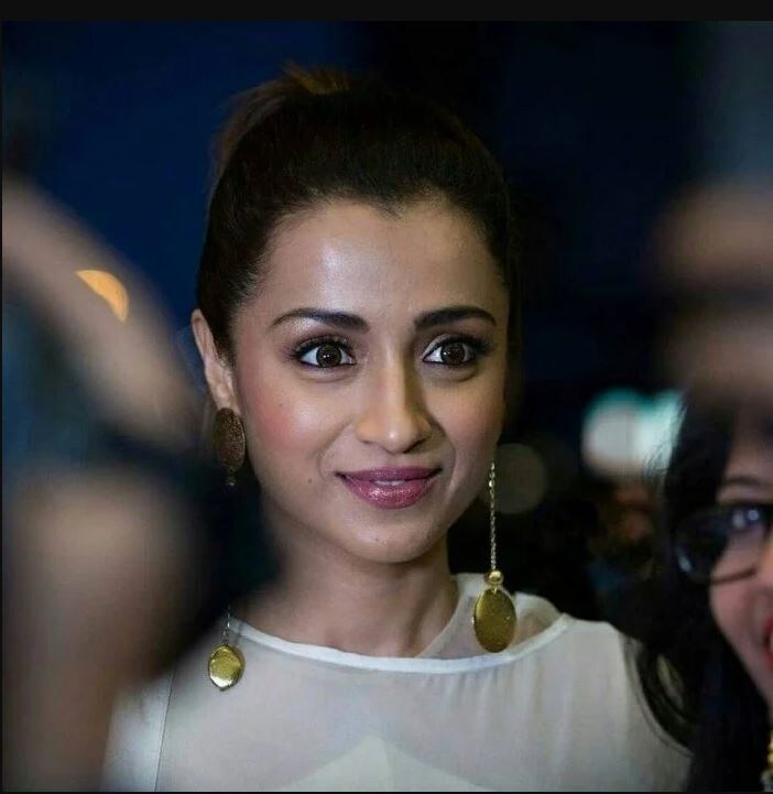 நாய்களுக்கு உதவ முன்வாங்க வேதனையுடன் ஸ்டோரி போட்ட த்ரிஷா விமர்சிக்கும் நெட்டிசன்கள்