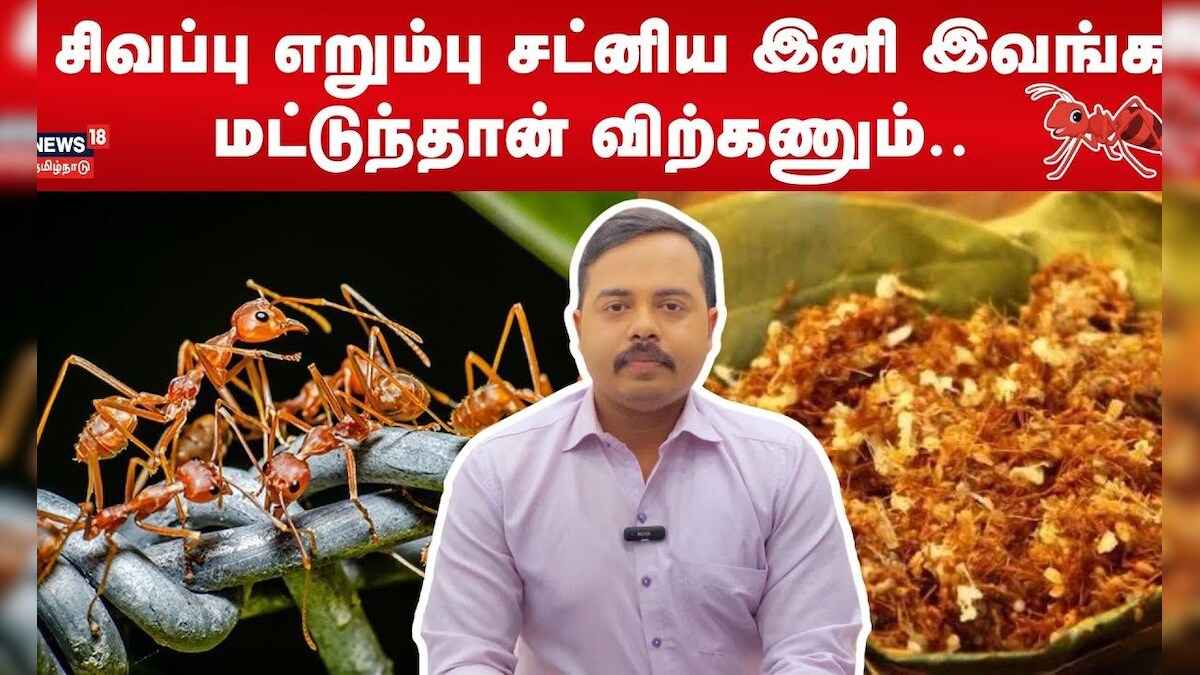 சிவப்பு எறும்பு சட்னிய இனி இவங்க மட்டுந்தான் விற்கணும். | Red Ant ...
