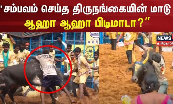 பாலமேட்டில் சம்பவம் செய்த திருநங்கையின் மாடு - ஆஹா ஆஹா பிடிமாடு ...