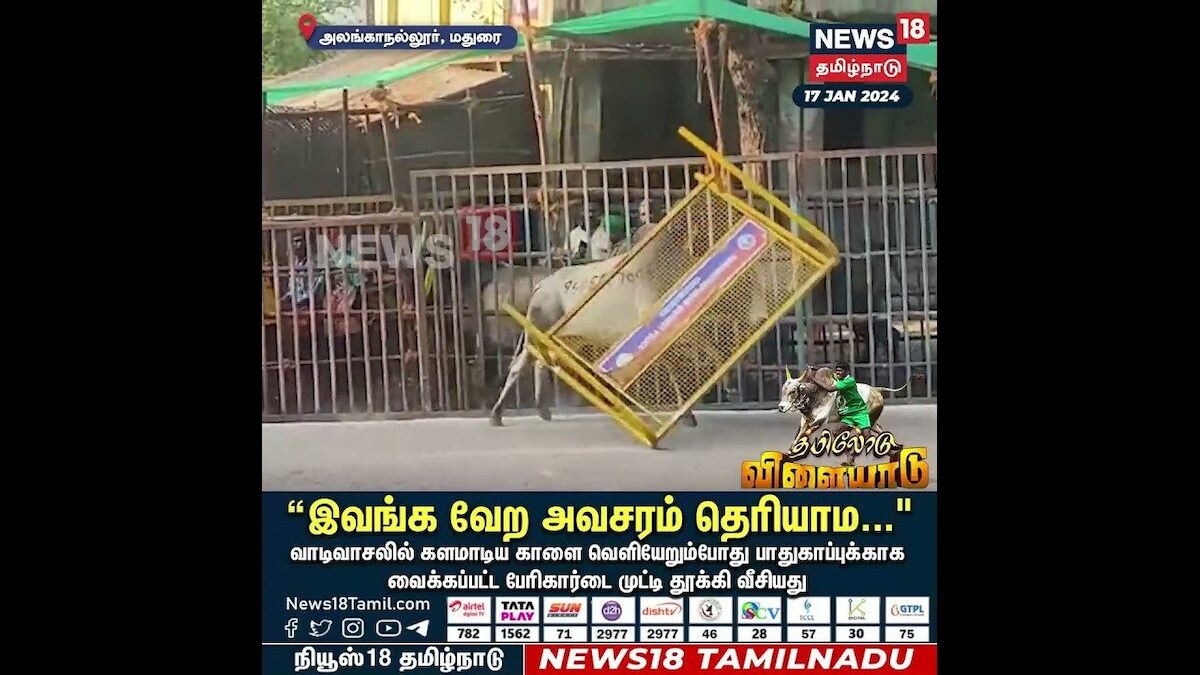 Alanganallur Jallikattu 2024 | "இவங்க வேற அவசரம் தெரியாம ...