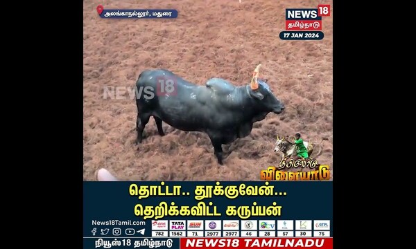 தொட்டா.. தூங்குவேன்.. தெறிக்கவிட்ட கருப்பன்.. | Alanganallur Jallikattu ...
