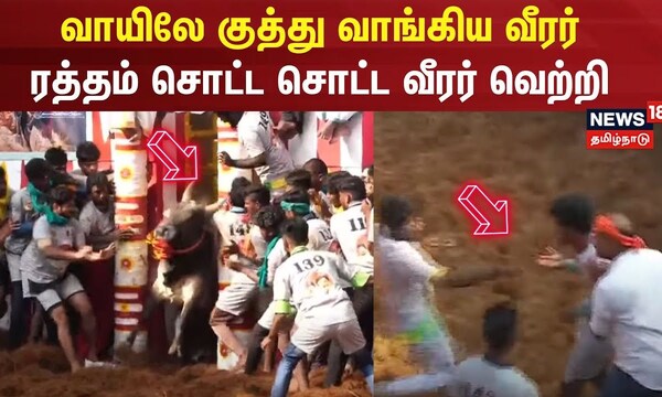 Alanganallur Jallikattu | வாயிலே குத்து வாங்கி வீரர் வெற்றி | Madurai ...