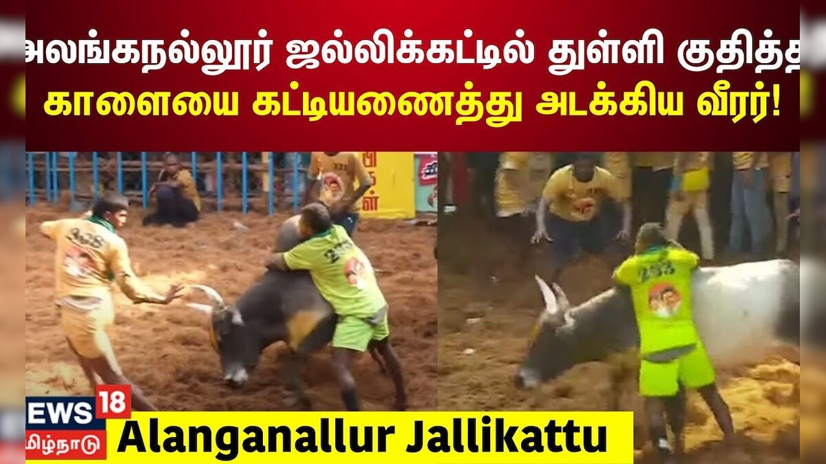 Alanganallur Jallikattu | ஜல்லிக்கட்டில் துள்ளி குதித்த காளையை ...