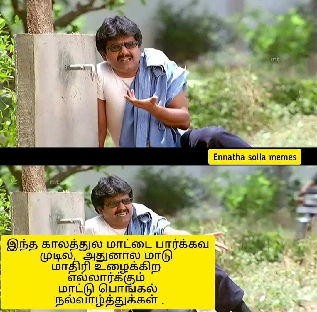 இன்னும் 3 நாளைக்கு பொங்கல் தான் சாப்பாடு.. இணையத்தில் வைரலாகும் பொங்கல் ...