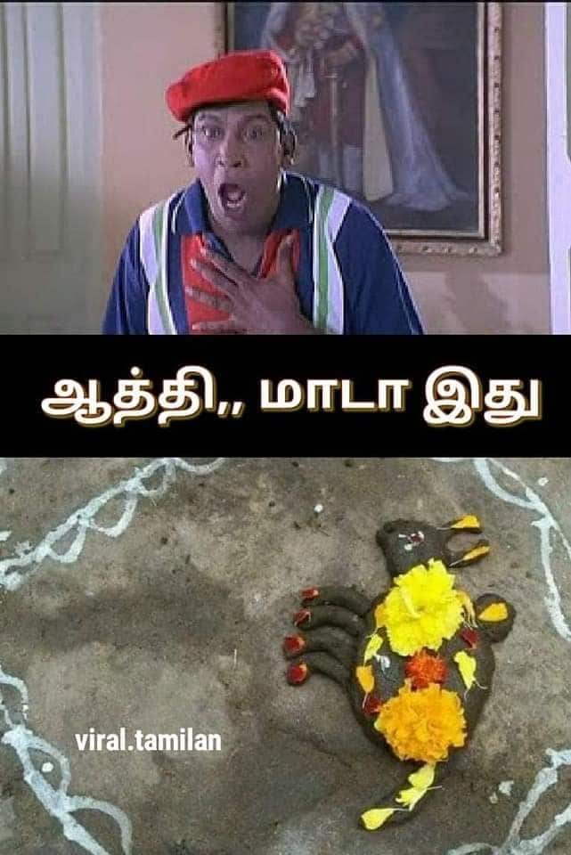 Kolam Memes 10 Easy And Best Rangoli Designs For Diwali Celebrations