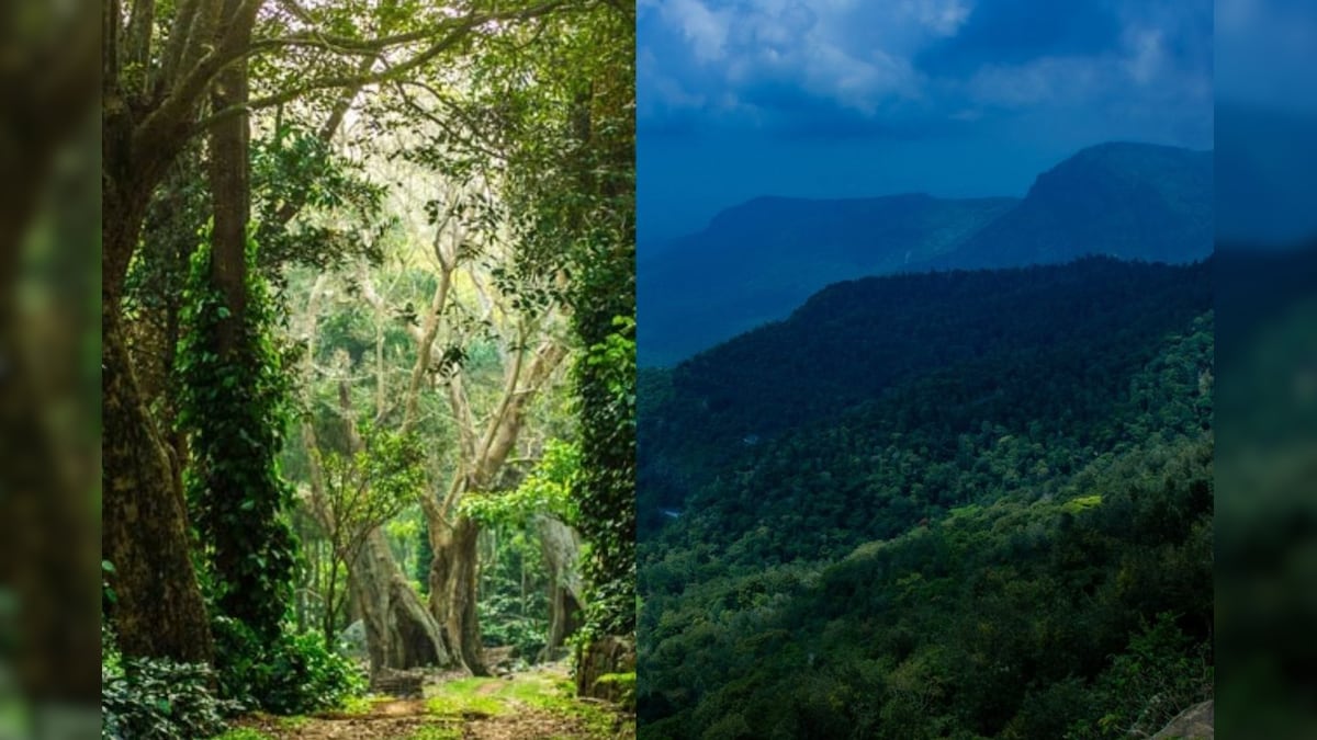 இ-பாஸ் இன்றி வரவேற்கும் ஏழைகளின் ஊட்டி... என்ன இருக்கிறது ஏற்காட்டில் ...