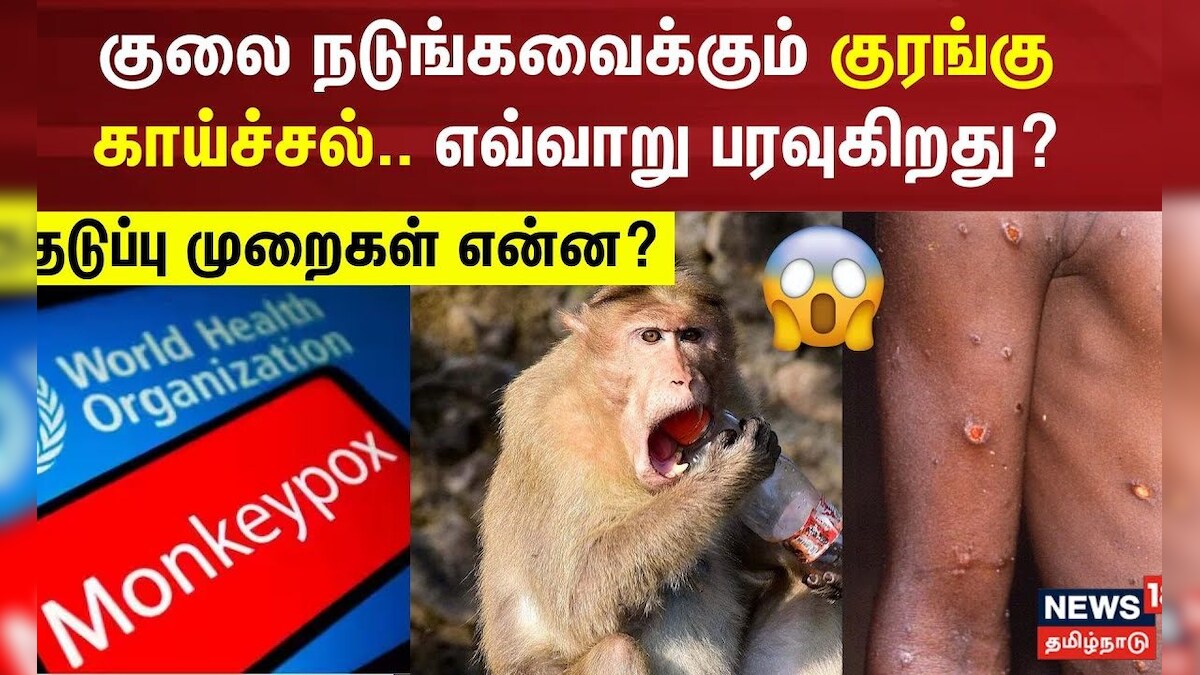 குலை நடுங்கவைக்கும்குரங்கு காய்ச்சல்.. எவ்வாறு பரவுகிறது?தடுப்பு ...