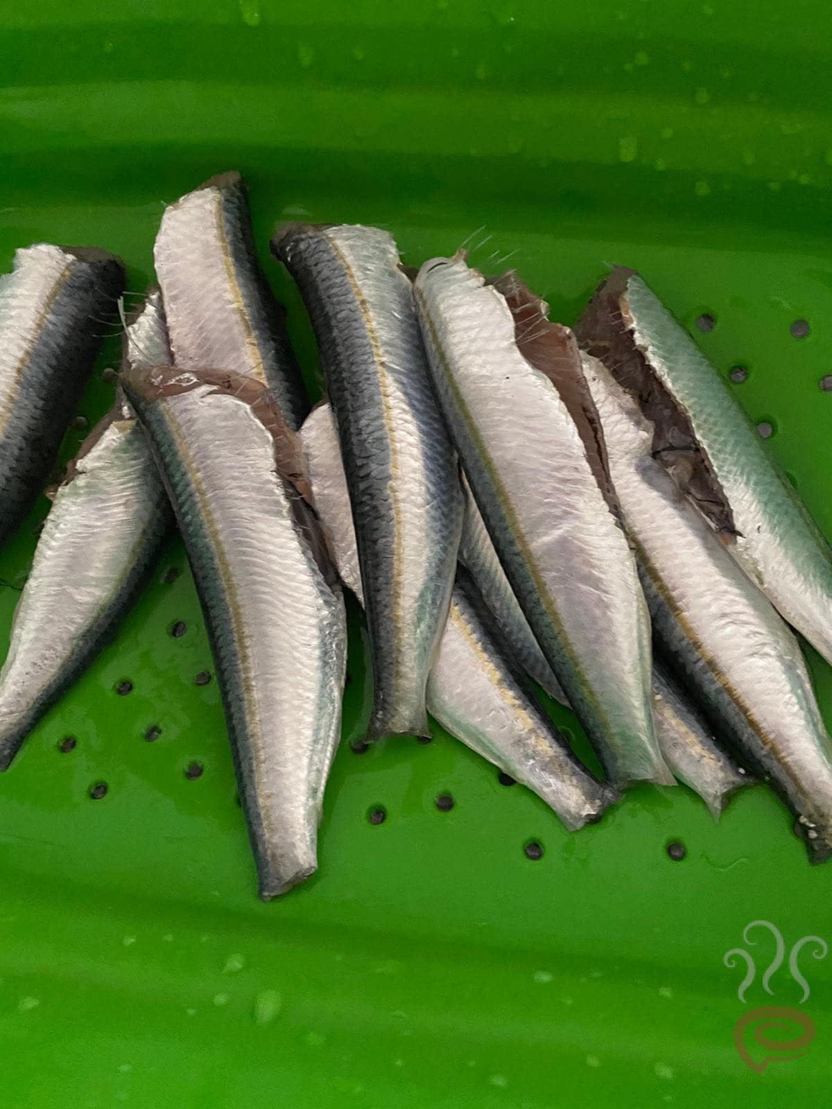 Check out Benefits of Sardine Fish (in Tamil) – News18 தமிழ்