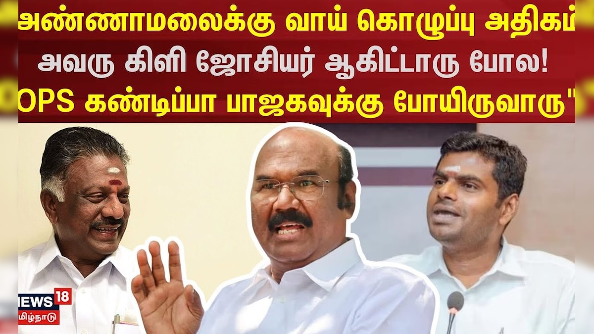 அண்ணாமலைக்கு வாய் கொழுப்பு அதிகம்; OPS கண்டிப்பா பாஜகவுக்கு போயிருவாரு - Jayakumar | OPS | Annamalai