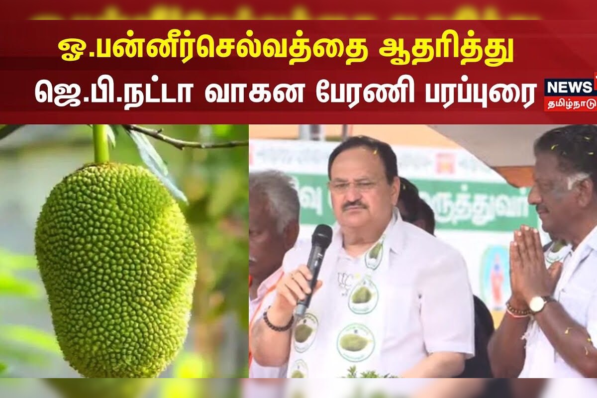 ஓ.பன்னீர்செல்வத்தை ஆதரித்து ஜெ.பி.நட்டா வாகன பேரணி பரப்புரை | JP Natta ...