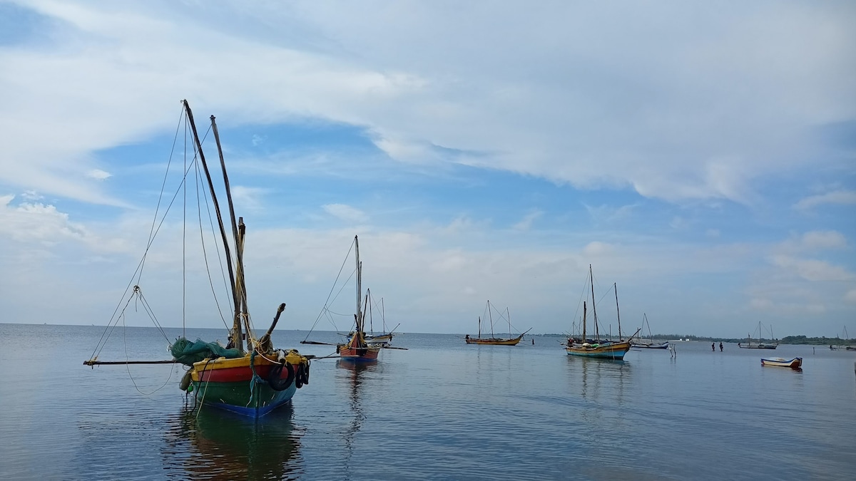 Mimisal Beach is a must visit places in Pudukkottai district sne mkn | புதுக்கோட்டை - News18 தமிழ்