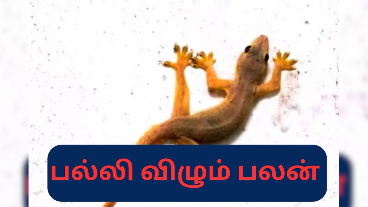 Palli Vilum Palan in Tamil: பல்லி விழும் பலன் | ஆன்மிகம் - News18 தமிழ்