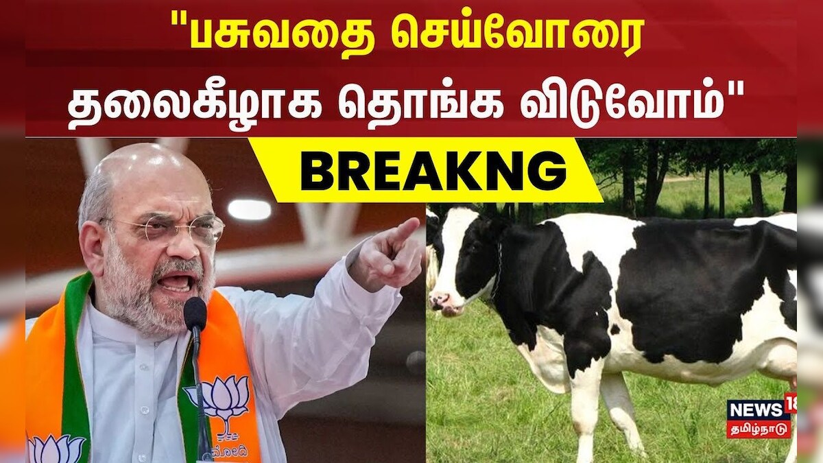 Breaking News | "பசுவதை செய்வோரை தலைகீழாக தொங்க விடுவோம்" | Amit Shah ...