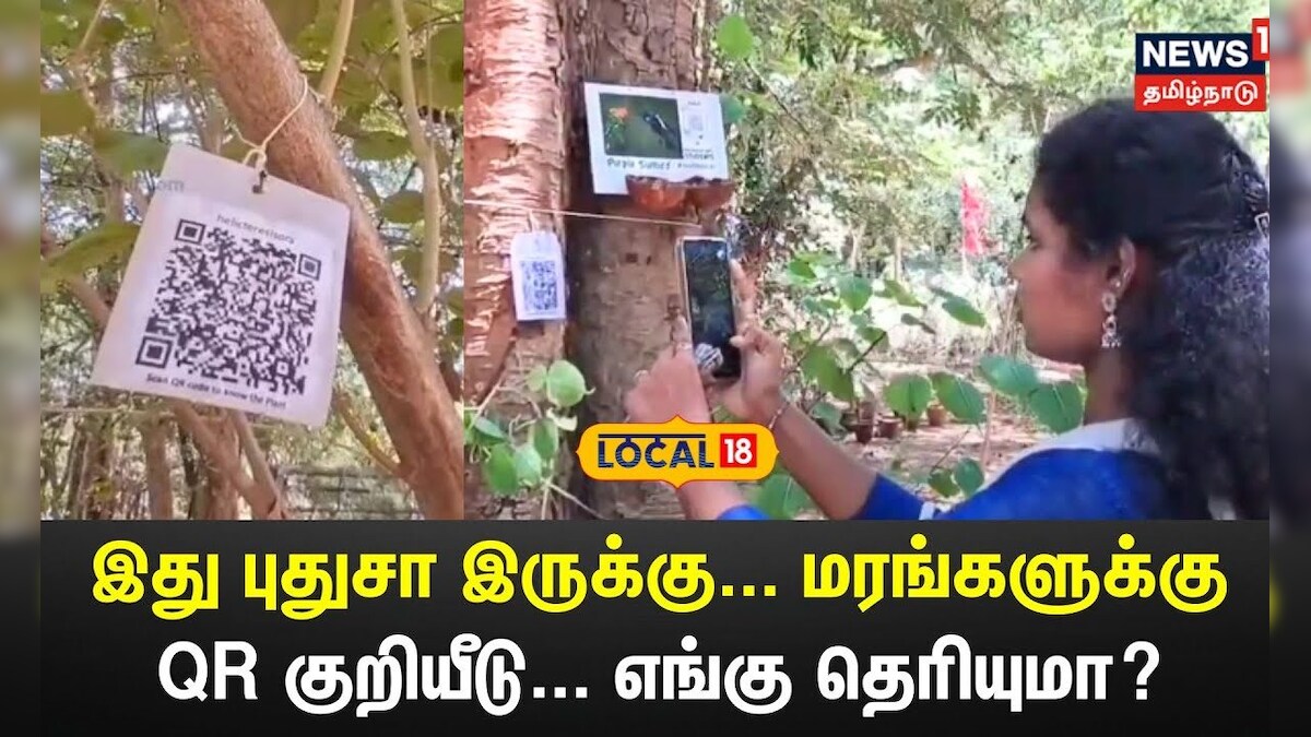 Tree QR Code | இது புதுசா இருக்கு... மரங்களுக்கு QR குறியீடு...எங்கு ...