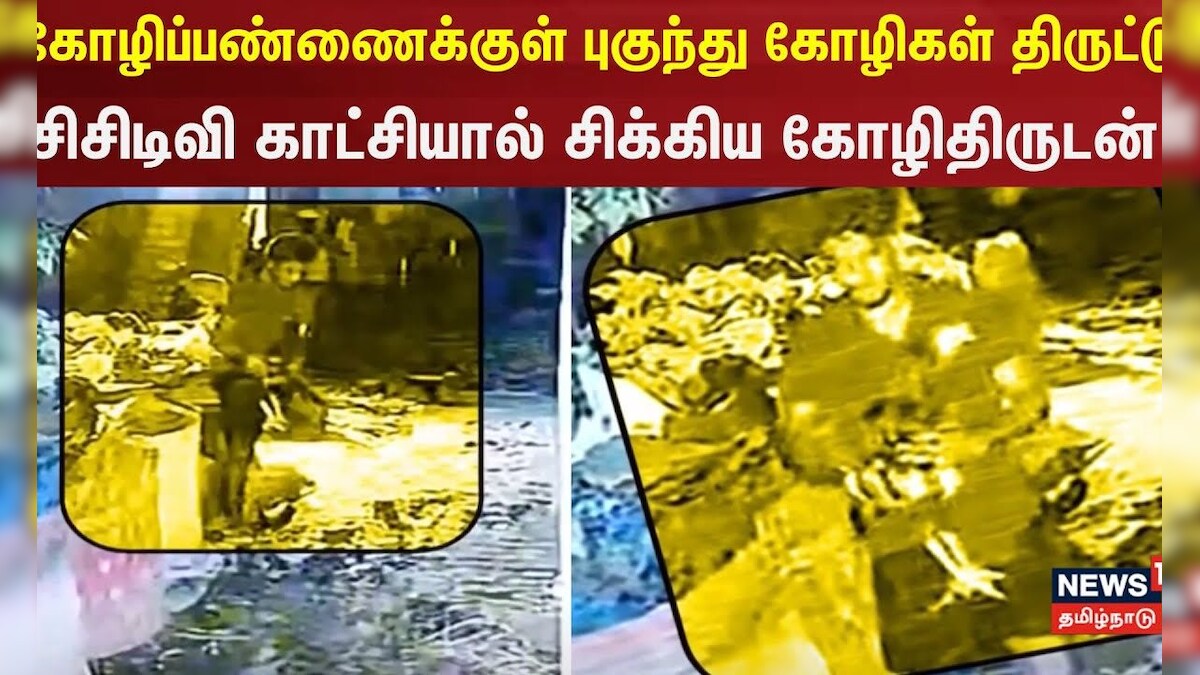 Chicken Theft | கோழிப்பண்ணைக்குள் புகுந்து கோழிகள் திருட்டு-சிசிடிவி ...