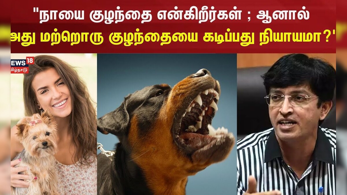 நாயை குழந்தை என்கிறீர்கள் ; ஆனால் அது மற்றொரு குழந்தையை கடிப்பது ...