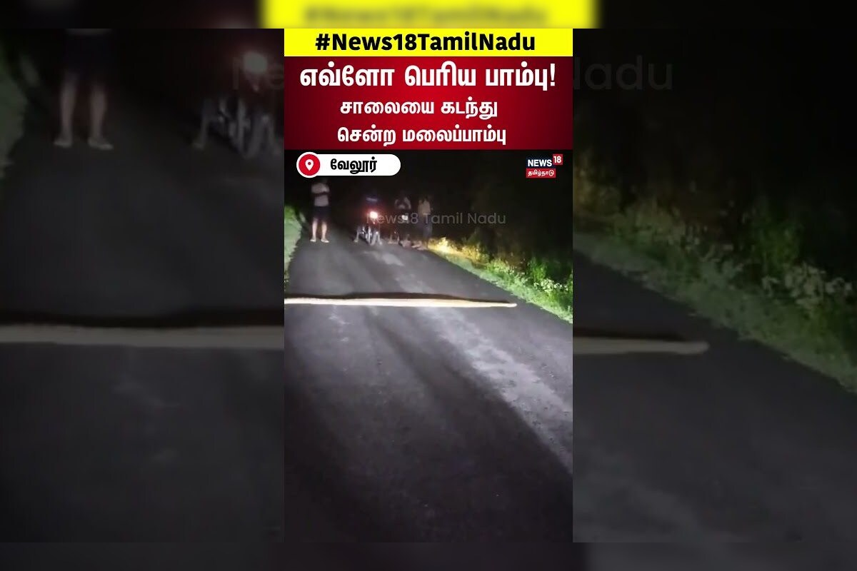 Python Snake | சாலையை கடந்து சென்ற மலைப்பாம்பு | Vellore | N18S