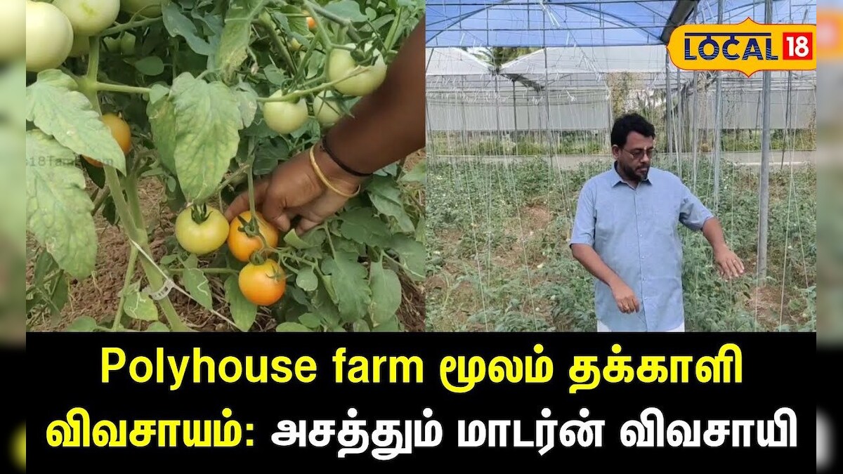 Polyhouse farm மூலம் தக்காளி விவசாயம்: அசத்தும் மாடர்ன் விவசாயி # ...