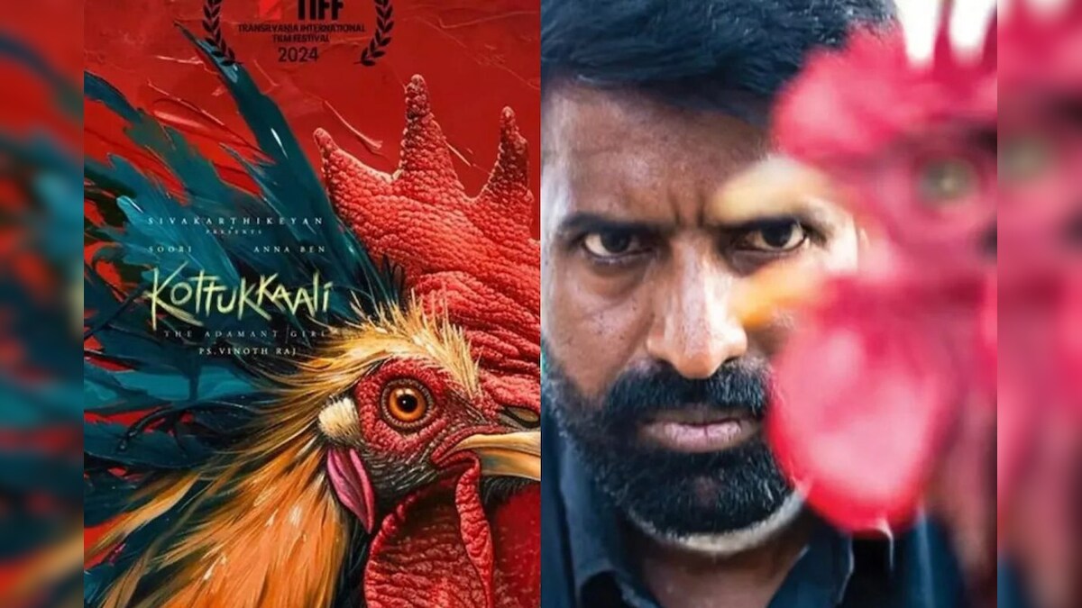 கொட்டுக்காளி படத்தின் முதல் நாள் வசூல் எவ்வளவு தெரியுமா? | பொழுதுபோக்கு ...