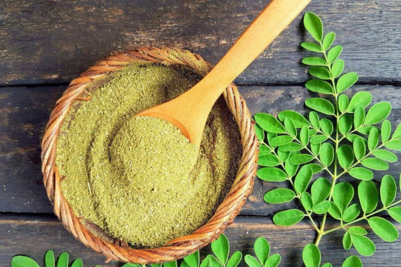 Moringa: ఇంట్లో ఏడాదంతా మునగాకు ఉండాలా?.. ఈ టిప్స్ పాటిస్తే మీ పంట ...