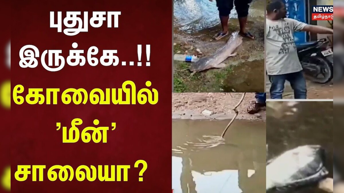 Coimbatore Rain | புதுசா இருக்கே.. கோவையில் 'மீன்' சாலையா? | Coimbatore ...
