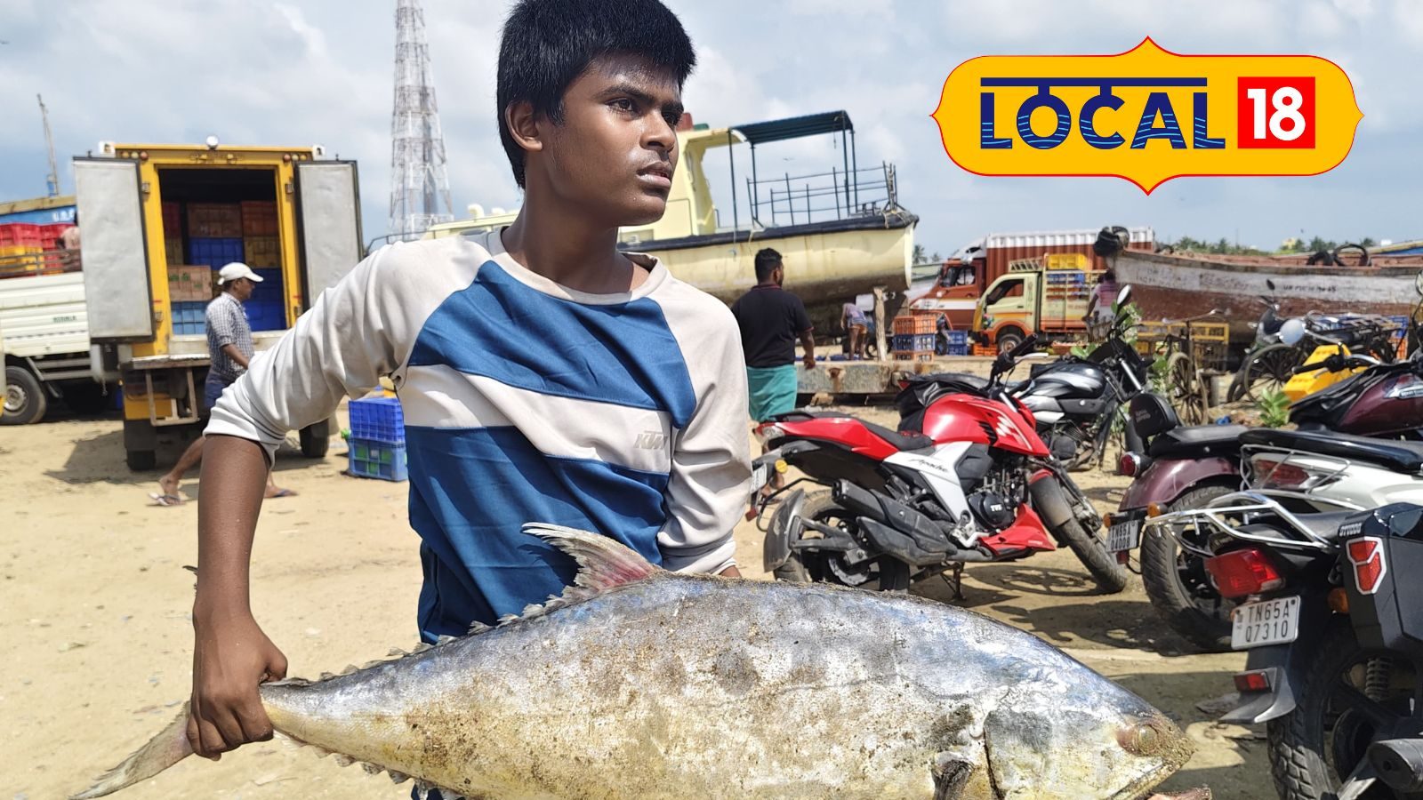 Katta Fish: "விலை குறைவு - ருசி அதிகம்" - மீன் பிரியர்கள் அதிகம் ...