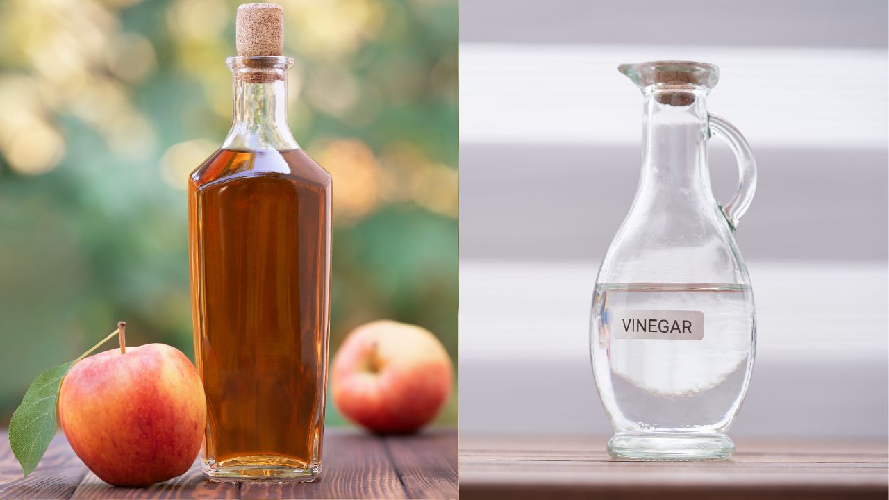 ஆப்பிள் சைடர் வினிகர் vs வெள்ளை வினிகர்: சருமத்திற்கு எது சிறந்தது ...