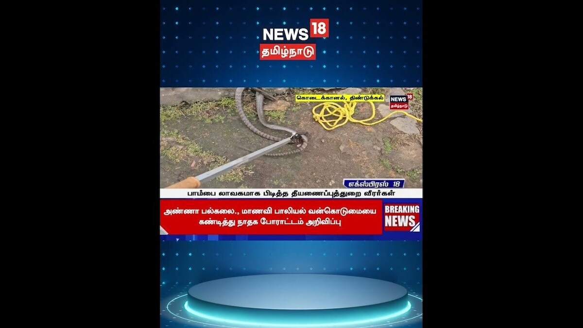 Snake Viral Video | சமையல் அறையில் இருந்து வெளியே வரும் பாம்பு | Kodaikanal | N18S