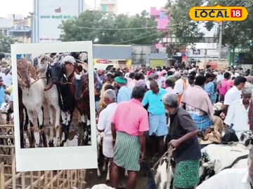 அடேங்கப்பா... ரூ.7 கோடிக்கு ஆடுகள் விற்பனை... களைகட்டிய எட்டயபுரம் ...