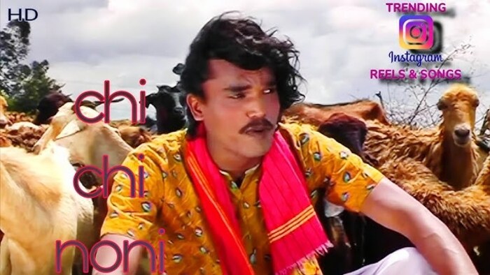 Chi Chi Chi Song: ‘ச்சீ ச்சீ’ பாடலின் தமிழ் அர்த்தம் தெரிந்தால் ஷாக் ஆயிடுவீங்க! தமிழ் வெர்ஷன் இதோ