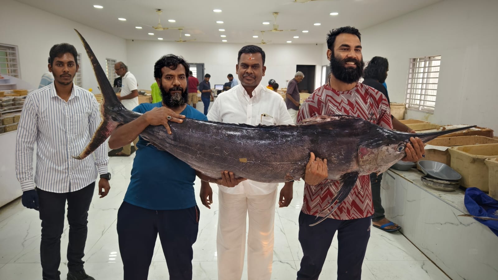 அசைவ பிரியர்களுக்கு வேட்டை தான்!! கோவைக்கு வந்த 60 கிலோ எடை கொண்ட ...