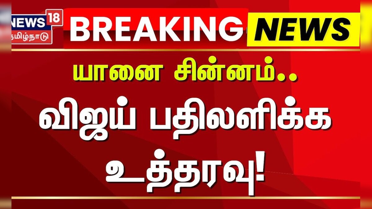 TVK Vijay Breaking | யானை சின்னம்-விஜய் பதிலளிக்க உத்தரவு! | BSP ...