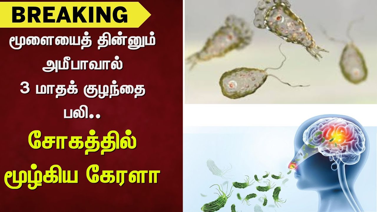 Brain-Eating Amoeba | மூளையைத் தின்னும் அமீபாவால் 3 மாதக் குழந்தை பலி ...