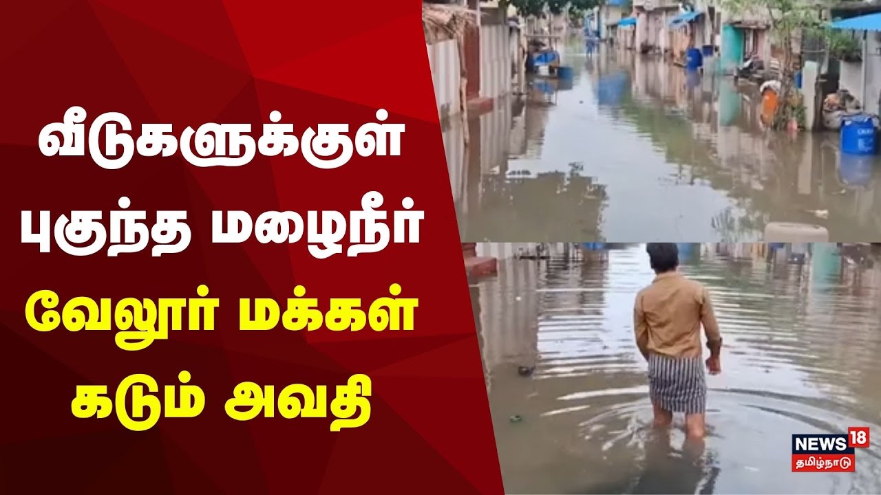 TN Rain News | வீடுகளுக்குள் புகுந்த மழைநீர் - மக்கள் அவதி | Vellore ...