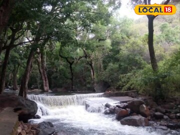 நம்பியாற்றில் வெள்ளம்... களக்காடு தலையணையில் சுற்றுலா பயணிகள் குளிக்க ...