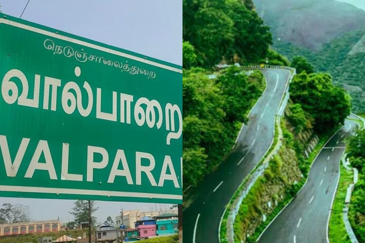 Valparai News, Photos & Videos in Tamil - News18 தமிழ்நாடு