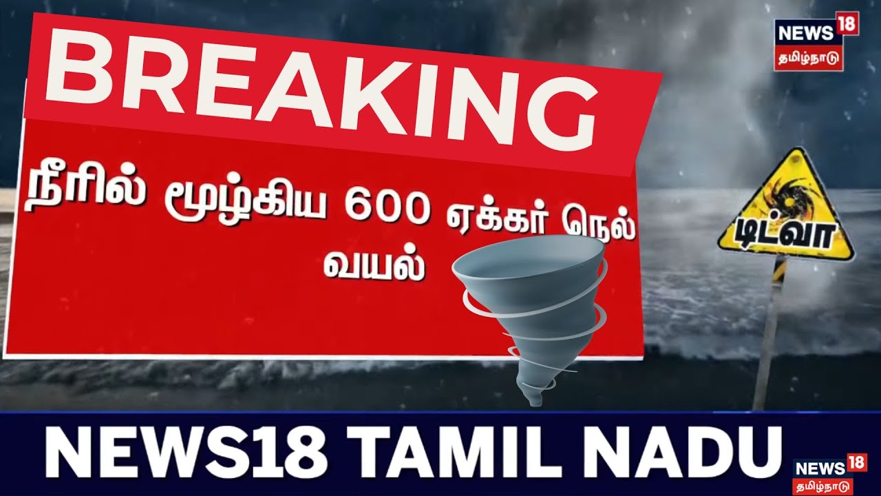 Cuddalore Flood | 600 ஏக்கர் நெல் வயல் நீரில் மூழ்கியது | Tamil Nadu ...