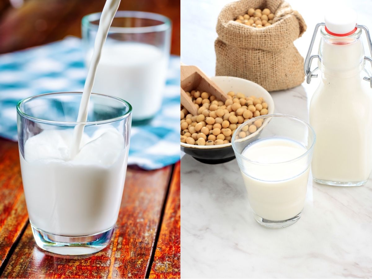 Cow Milk vs Soya Milk | பசும்பால் Vs சோயா பால்... எது ஆரோக்கியமானது ...