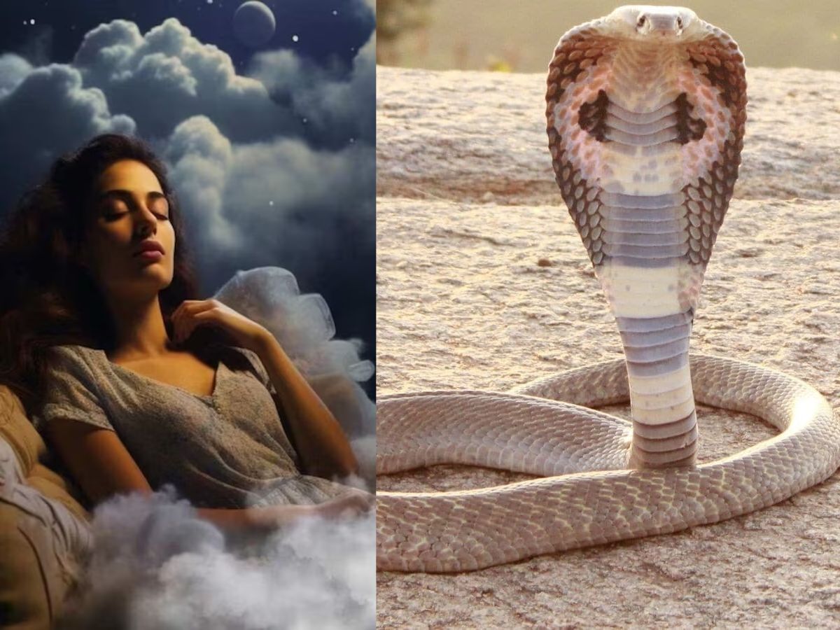 Snakes Dream | கனவில் பாம்பு வந்தால் இதுதான் அர்த்தமா? தெரிஞ்சா ஷாக் ...