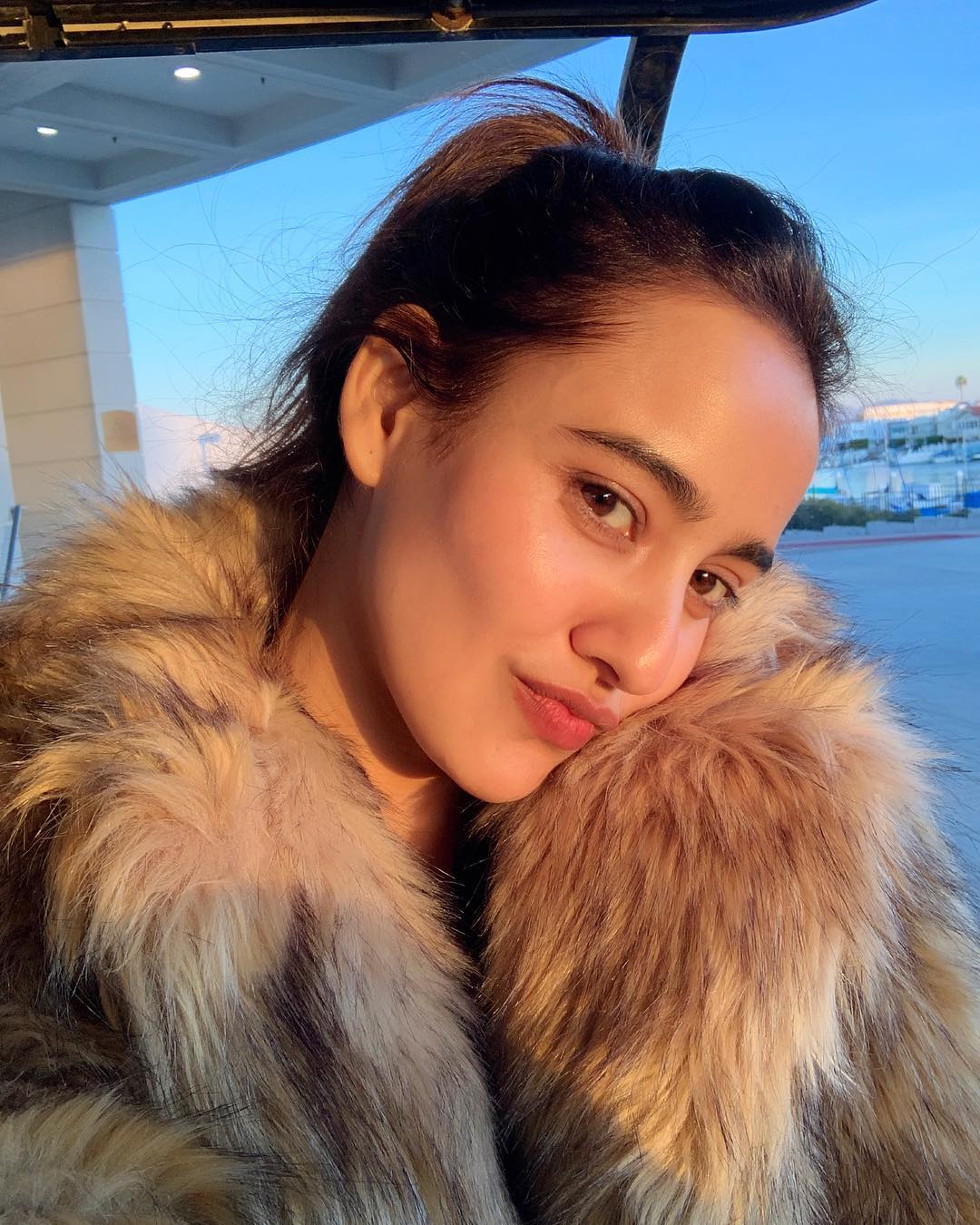 Neha Sharma : అమెరికాలో చిరుత భామ నేహా శర్మ అందాల ఆరబోత.. వావ్ ...