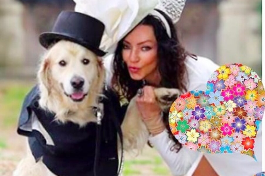 Photos : 220 మందితో లవ్ స్టోరీస్ ఫెయిల్... చివరకు కుక్కను పెళ్లి ...