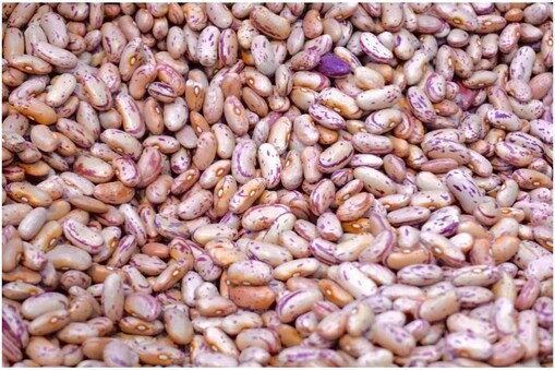 Pinto Beans: పింటో బీన్స్‌ తినండి... ఈ ప్రయోజనాలు పొందండి | health tips ...
